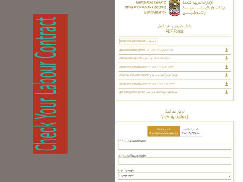 How to check labour contract with passport number? - Close Career